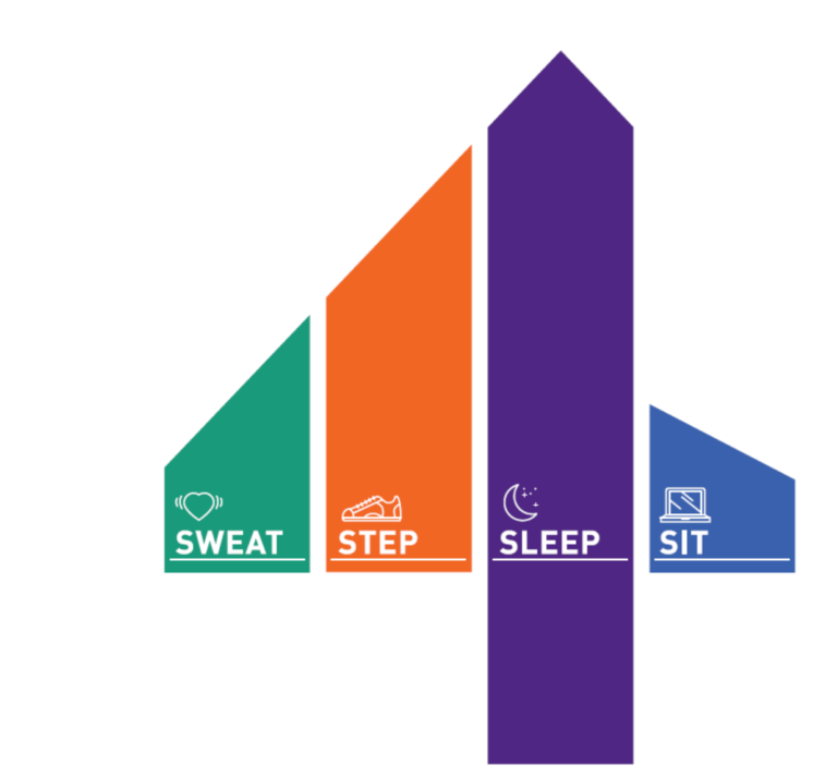 Theory Review – Sit / Screen Time | Have a Ball Together